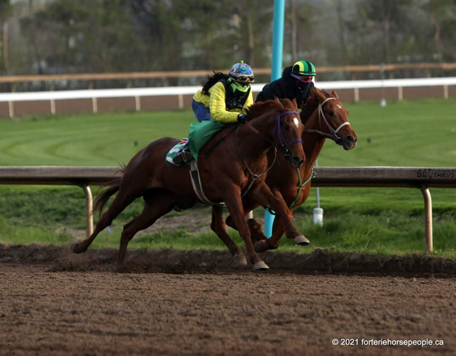 JMR Racing - JohnMel Stables Inc