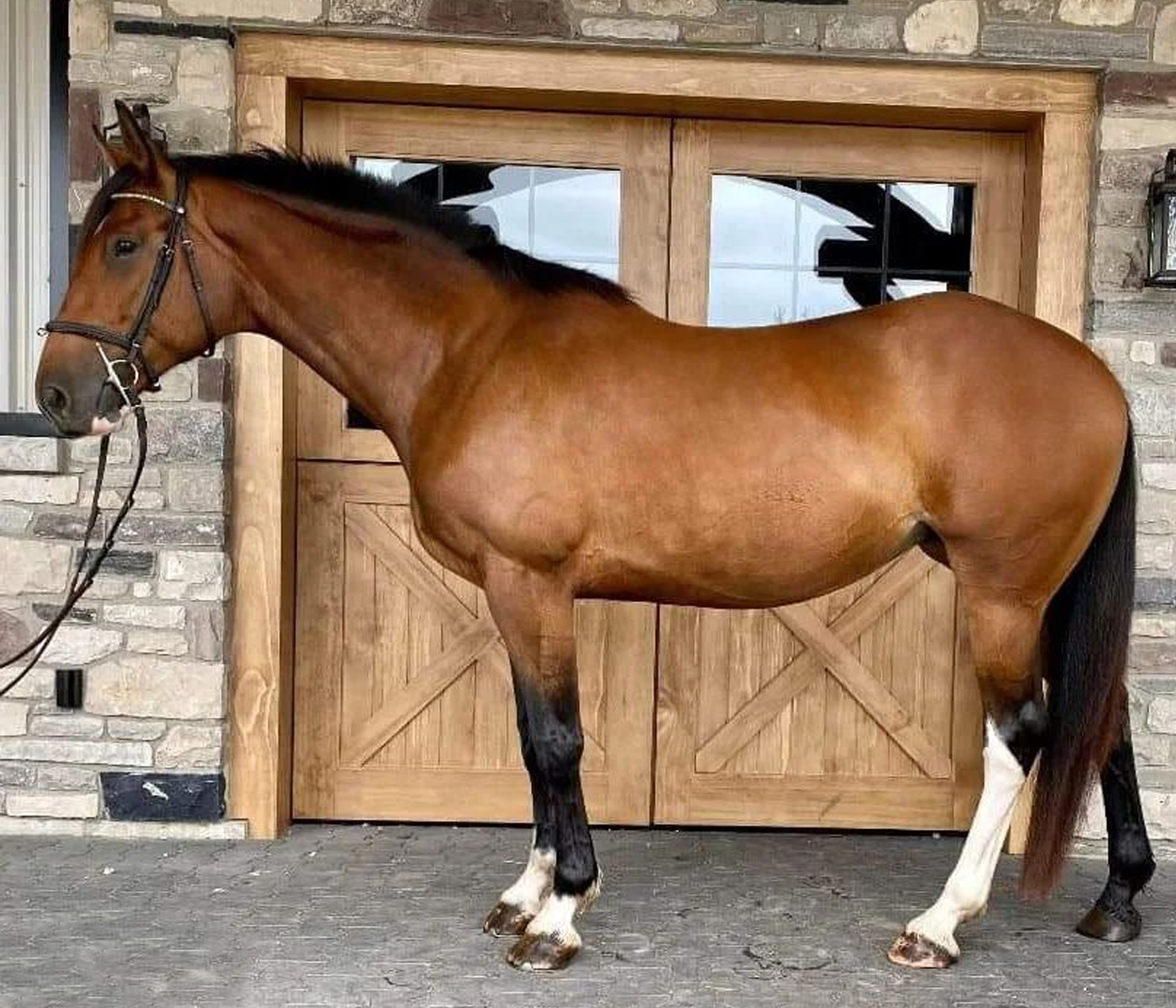 Sales - JohnMel Stables Inc